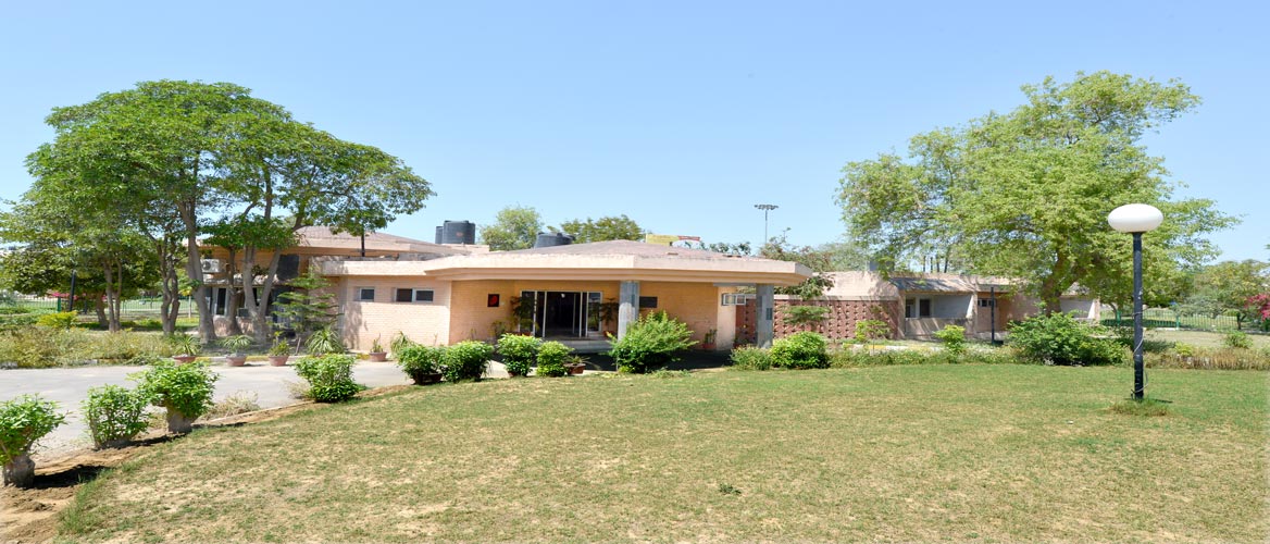 Papiha – Haryana Tourism